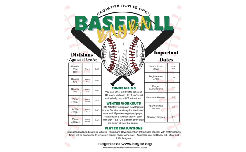 Home [www.bayba.org]