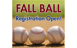 Home [www.bayba.org]